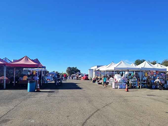 Wide open aisles invite you to wander freely, exploring booth after booth of unexpected finds and delightful surprises.