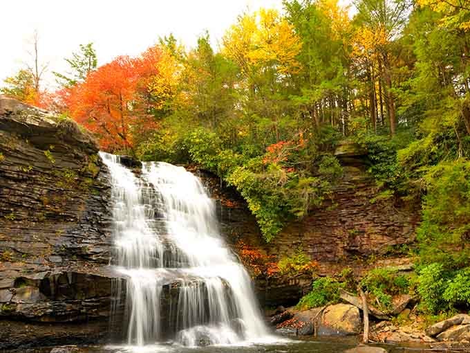 When autumn paints the forest and water cascades over ancient rock, you're witnessing nature's greatest collaboration in action.