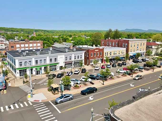 From above, Wallingford looks like a Norman Rockwell painting came to life with perfect streets and peaceful neighborhoods.