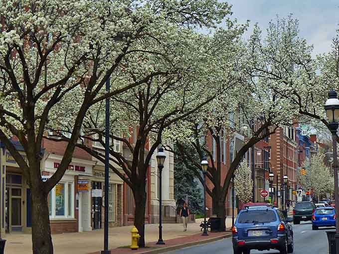 York's downtown streets blend architectural styles like a perfectly layered lasagna, each era adding its own delicious flavor.