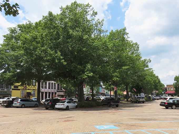 That magnificent oak tree provides shade for conversations that have been happening here for generations upon generations.