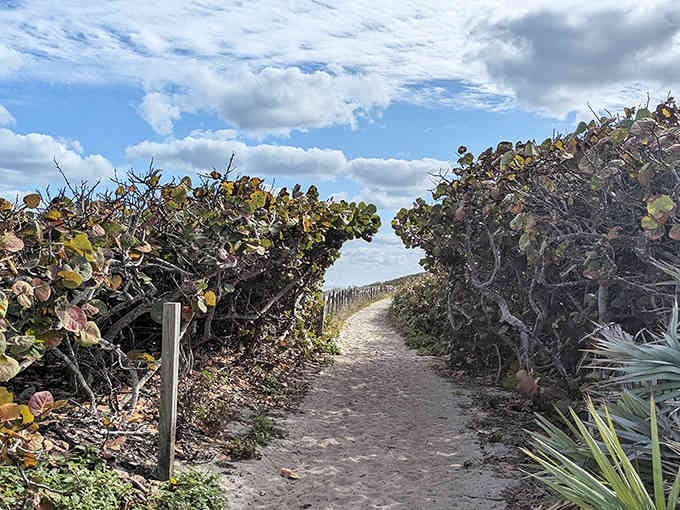 This coastal path through sea grape tunnels leads to one of Florida's most dramatic rocky shorelines.