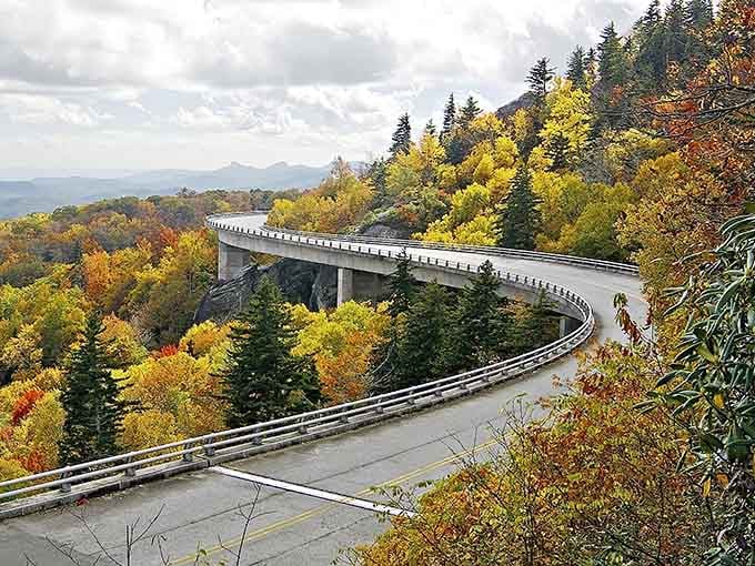 The Linn Cove Viaduct curves through fall colors like a concrete ribbon wrapped around nature's gift.