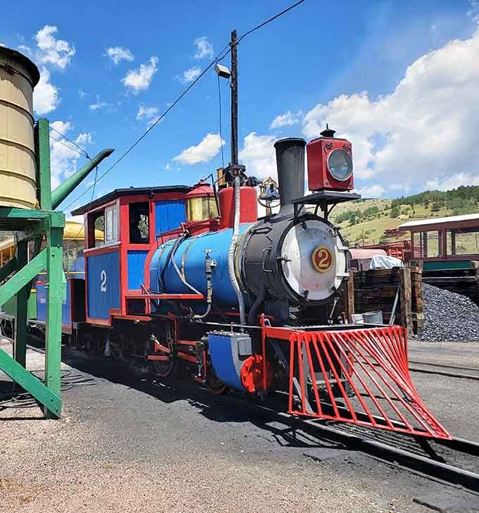 Bright primary colors pop against the mountain backdrop&mdash;this charming narrow gauge train is pure storybook magic come to life.