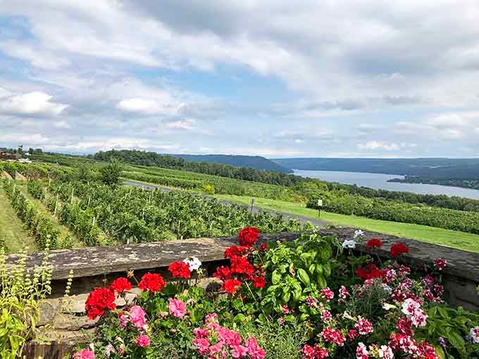 Bright geraniums frame vineyard rows that roll down to sparkling water like a living postcard.