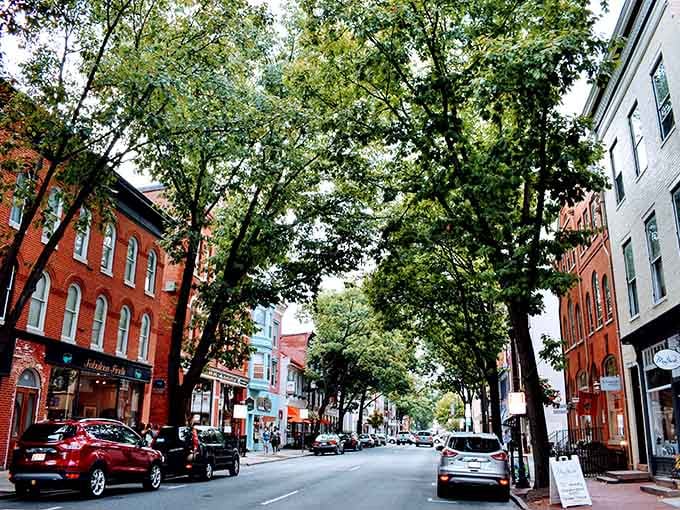 Towering trees frame Frederick's downtown corridor, offering shade and character to this timeless Maryland treasure.