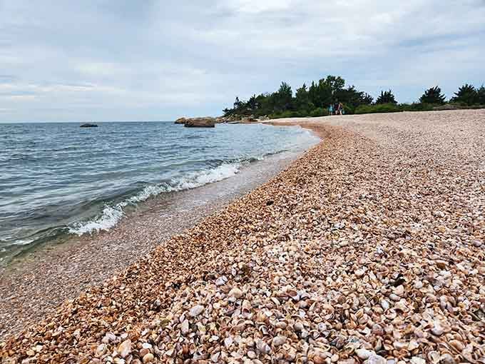 The rhythmic lapping of Long Island Sound creates nature's soundtrack along this tranquil, shell-scattered beach.