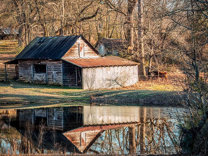 The reflection doubles the loneliness of this forgotten building, creating a mirror image of abandonment and quiet beauty.