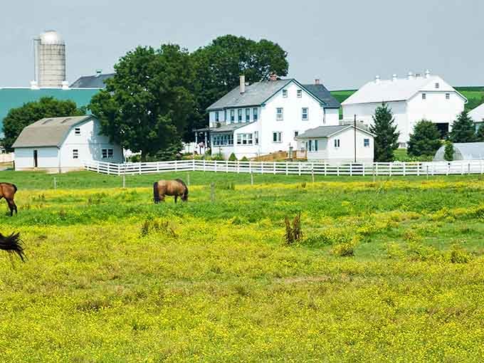 White farmhouses dot the landscape like chess pieces on a green board, peaceful and perfectly placed by design.