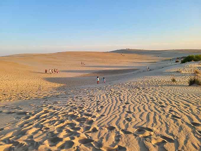 Golden hour turns these massive sand hills into nature's own cathedral of light and shadow.
