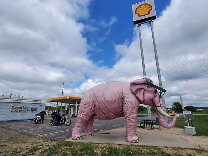 Standing guard at a gas station, this cheerful elephant in shades makes every fuel stop an Instagram moment.