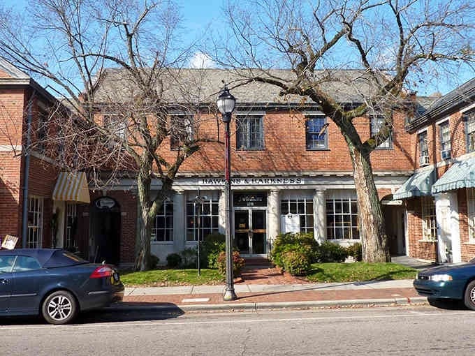 Bare winter branches frame brick storefronts where time seems to have paused around 1955, beautifully so.