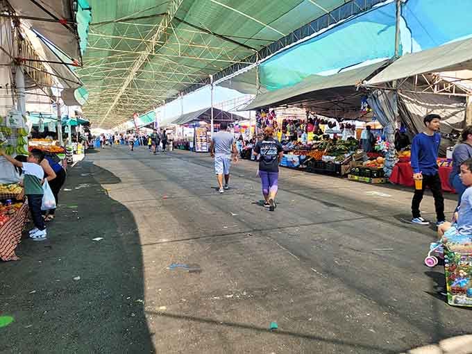 Protected from the elements, shoppers browse comfortably under green canopies that stretch like a treasure hunter's paradise.