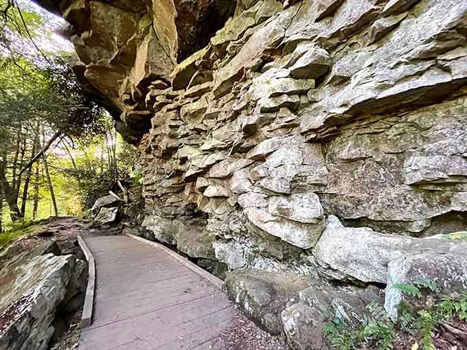 This boardwalk hugs layered stone cliffs like a wooden ribbon, leading you through millions of years of geological history.
