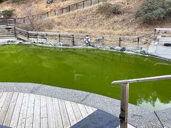 That emerald-green mineral pool might look like swamp water, but trust me, it's pure liquid relaxation from deep underground.