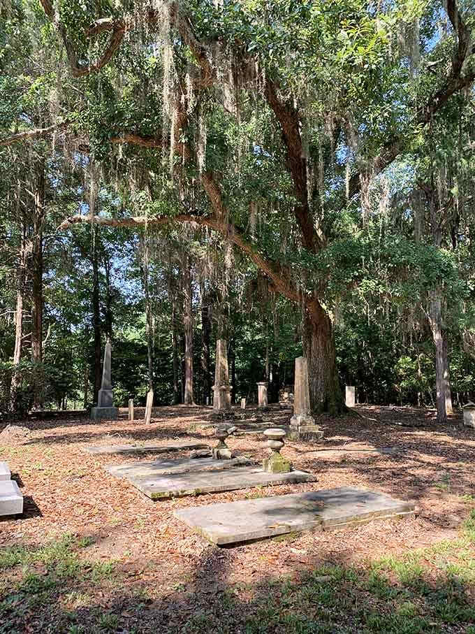 Concrete vaults rest beneath towering oaks, their permanence challenged only by the relentless march of Southern seasons.