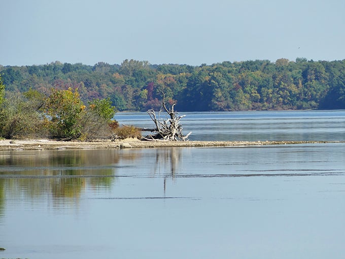 That weathered tree standing sentinel creates a hauntingly beautiful focal point against the tranquil water's mirror-like surface.