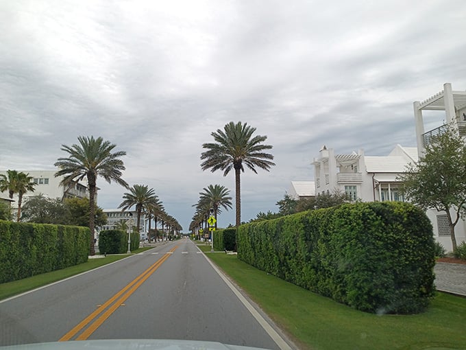 Palm-lined streets that look this good should require a passport, but nope, still Florida, still drivable, still real.