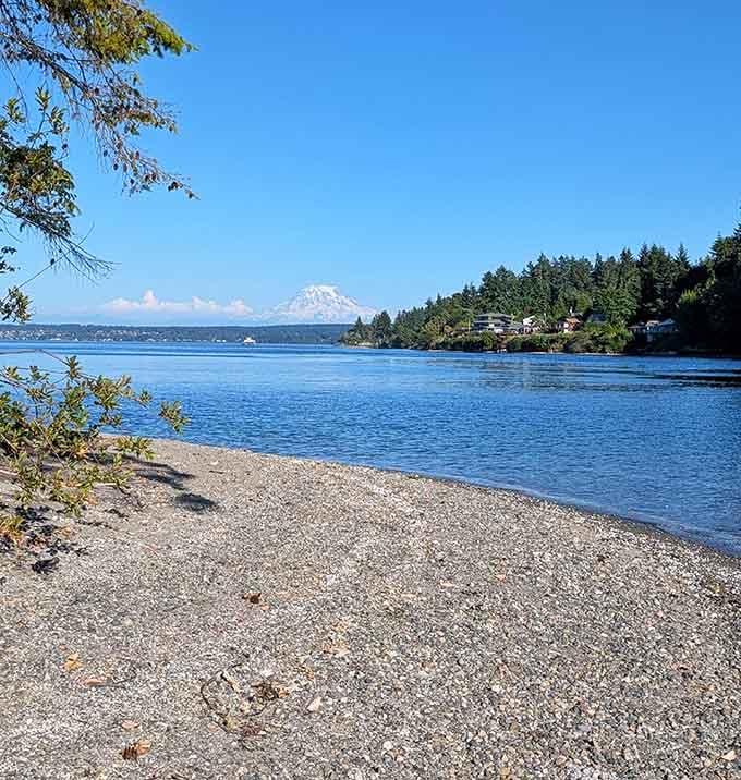 Mount Rainier photobombing your beach day like nature's own celebrity cameo, stealing the show without even trying.