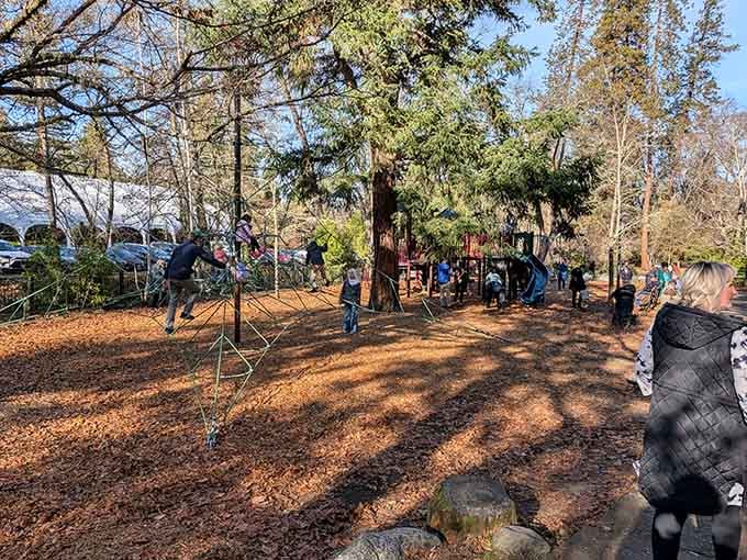 Lithia Park's playground proves that fun doesn't retire, no matter what your knees might say.