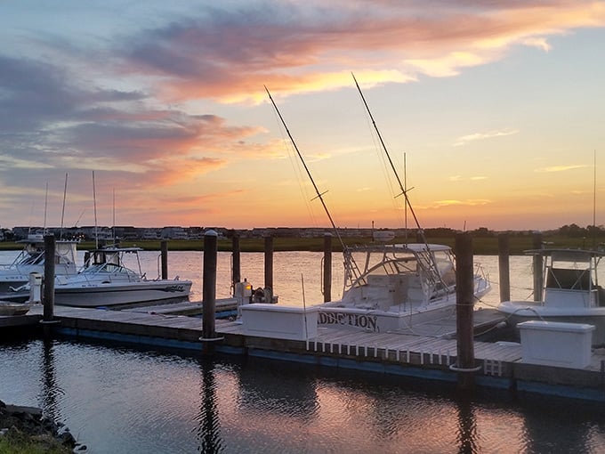Golden hour at the marina turns every fishing boat into a postcard waiting to happen, pure magic.