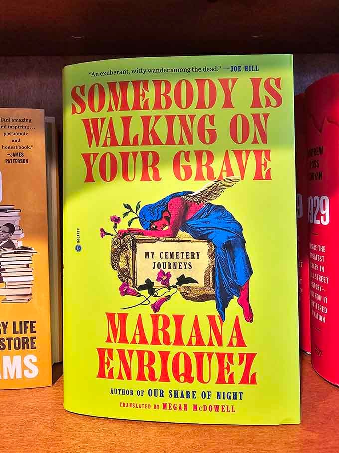 Bold covers and compelling stories waiting to transport you somewhere extraordinary, one page at a time.