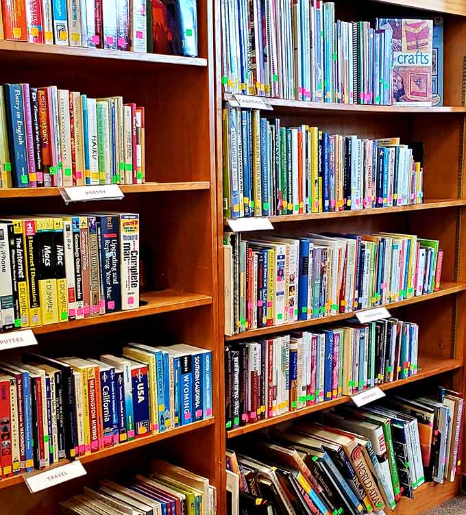 From craft guides to bestsellers, these well-stocked shelves prove that great reads don't require a fortune.