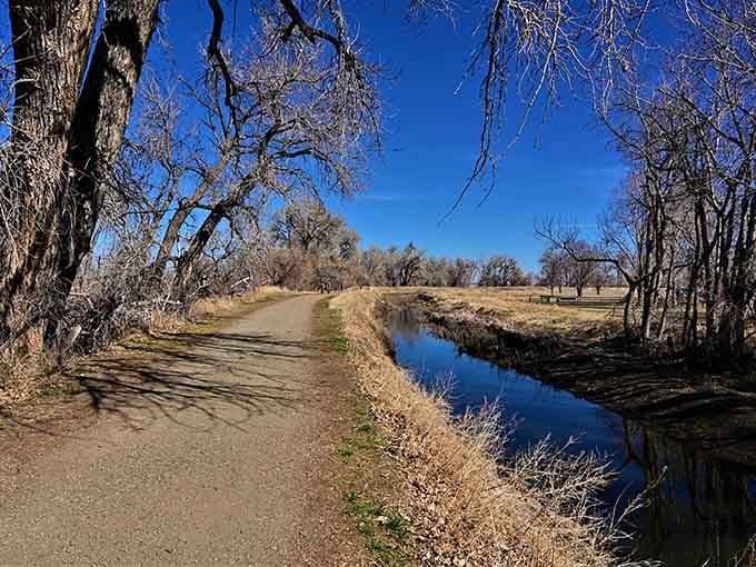 Winter trails at Barr Lake offer peaceful solitude where your only company is cottonwoods and contemplation.