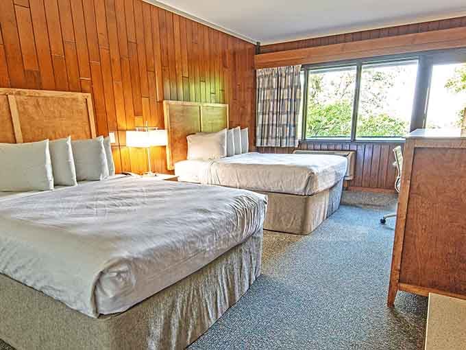Wood-paneled comfort with lake views beats any fancy hotel trying too hard to impress you.