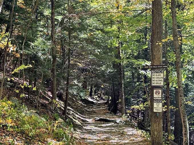 The trail beckons through towering trees, promising adventure without requiring a sherpa or oxygen tank.