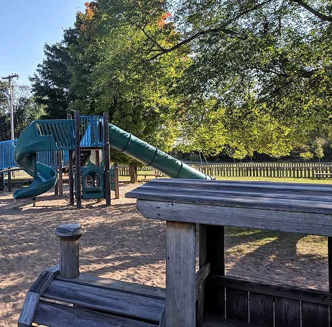 The playground equipment at Richardi Park proves that fun doesn't need Wi-Fi or a subscription service.