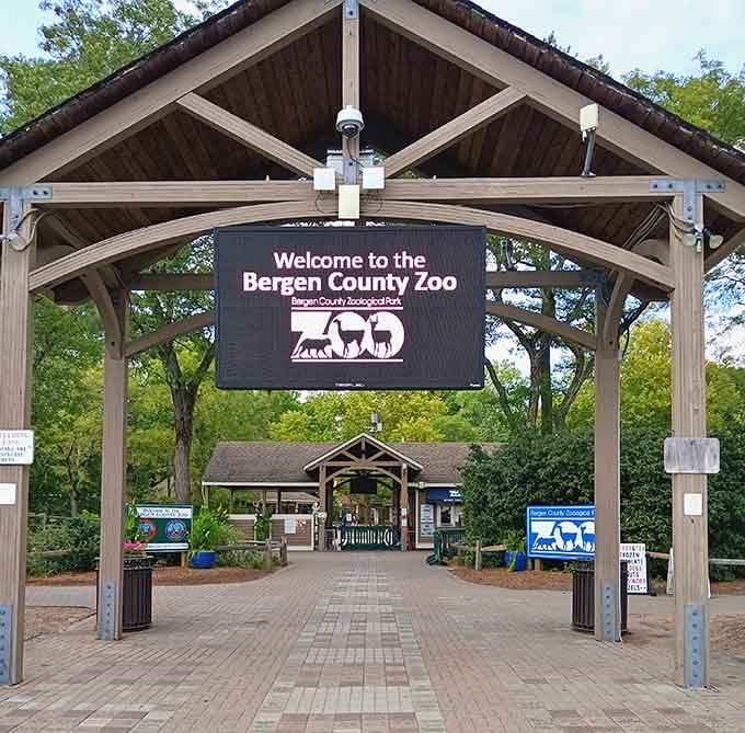 The entrance alone promises adventure, like walking into a nature documentary you can actually touch.
