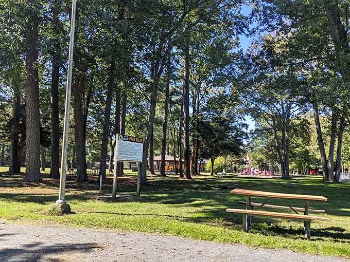 Stephen Decatur Park proves that sometimes the best entertainment is just a shady tree and good company.