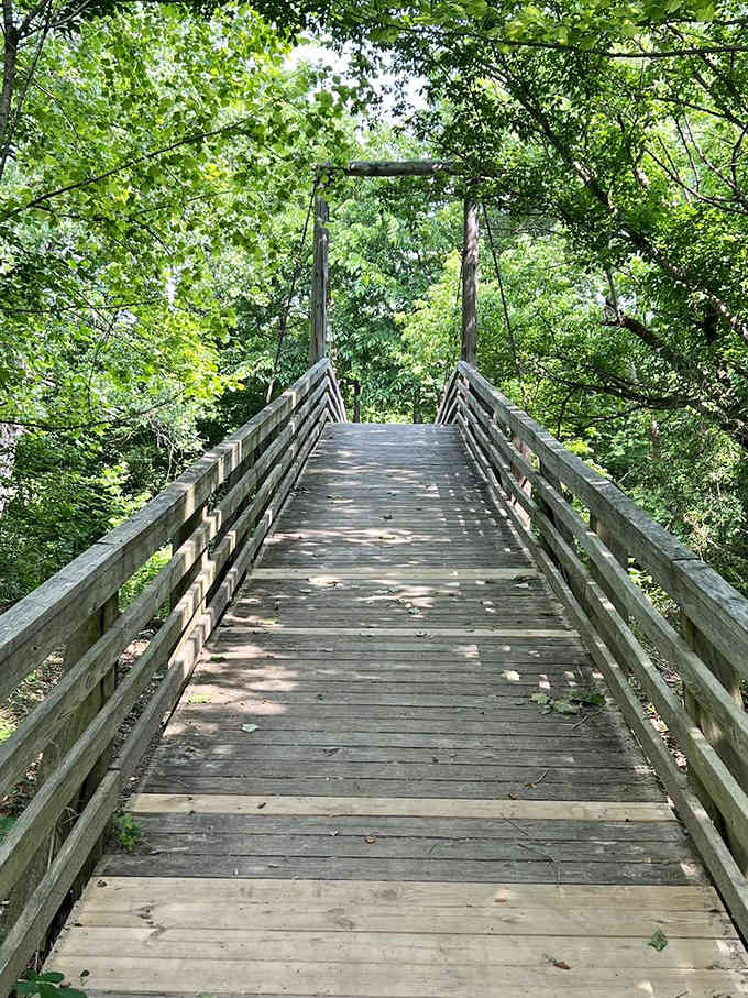 This wooden bridge leads you deeper into the forest where Ice Age giants once walked and mysteries still linger.