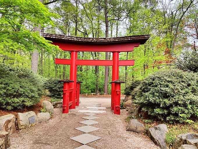 This vibrant torii gate transports you straight to Japan, no passport or fourteen-hour flight required for the journey.