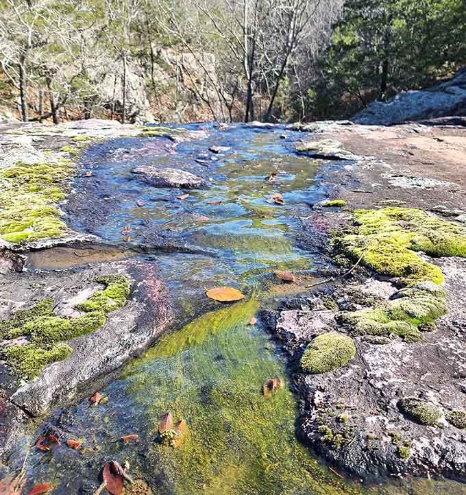 Moss-covered rocks and crystal-clear pools create a scene so peaceful, even your phone will understand being ignored.