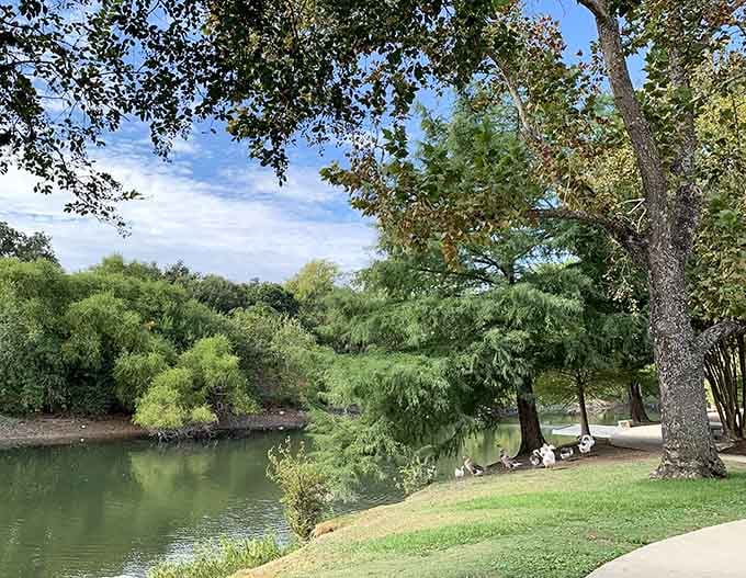 When a creek runs this peacefully through town, you start to understand why everyone looks so relaxed.