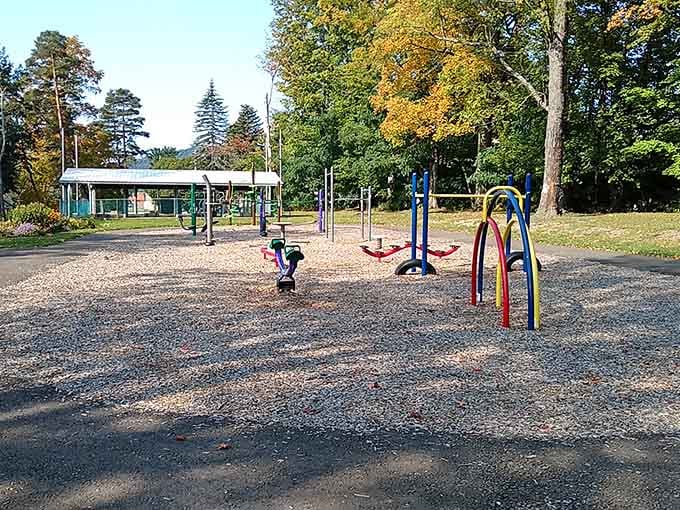Local parks where kids still play outside instead of staring at screens, imagine that revolutionary concept actually working.