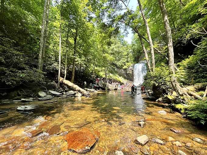 Looking Glass Falls proves nature doesn't need filters, just an audience willing to get their feet wet.
