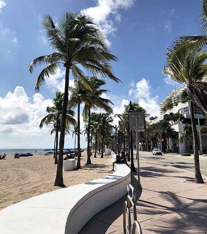 Palm trees standing guard over pristine sand like nature's own welcoming committee, ready to greet you properly.