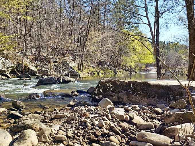 South Sauty Creek knows exactly what it's doing, creating pools and rapids that look straight out of a postcard.
