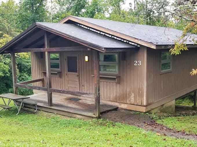 Cabin number 23 sits ready for your unplugged weekend, offering front-row seats to absolutely glorious nothing.