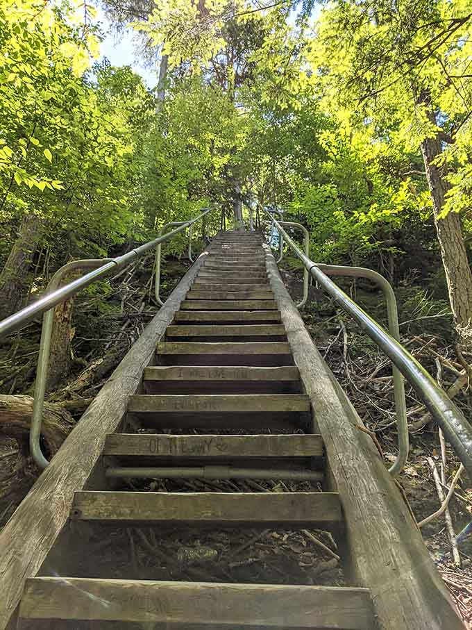These sturdy steps lead adventurers down to one of New Jersey's best-kept secrets, worth every single one.