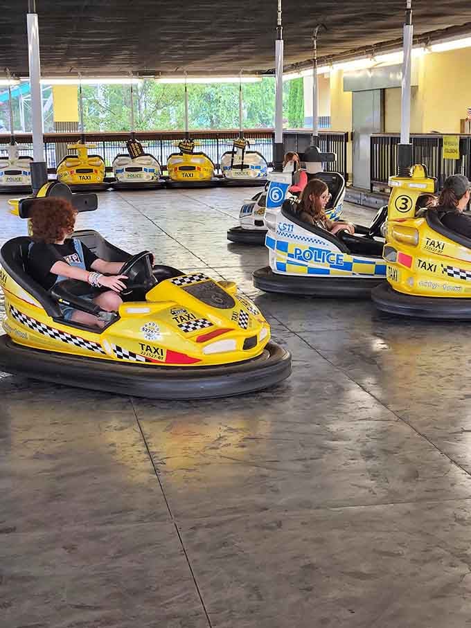 Nothing says "I'm in control of my life" quite like a six-year-old navigating bumper car traffic with zero regard for physics.