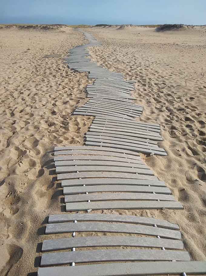 This weathered boardwalk stretches toward adventure like a wooden yellow brick road, minus the flying monkeys and singing munchkins.