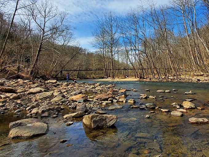 The Patapsco River meanders through rocky shallows, offering peaceful views that beat any screensaver you've ever downloaded.