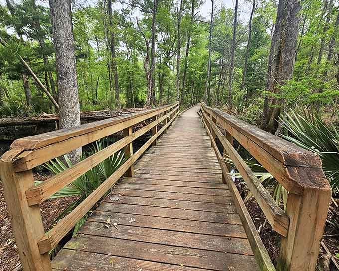Cross this charming wooden bridge and pretend you're in a nature documentary, narrating your own adventure in your best British accent.