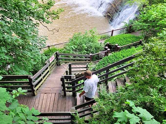 Those wooden stairs aren't just for show, they're your ticket to multiple angles of waterfall-watching glory.