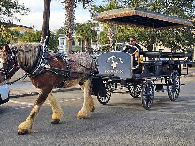 Horse-drawn carriages clip-clop through history, offering the original slow-travel experience before it was trendy.