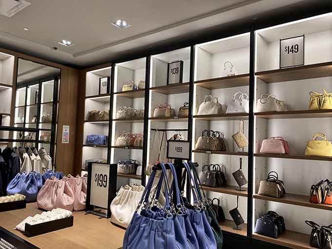 A handbag lover's dream displayed like fine art in a gallery, proving accessories deserve their own museum-quality presentation.